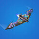 Shuri's Skywings - Fortnite Glider - Fortnite.GG