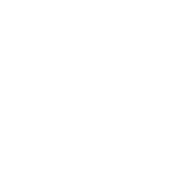 Halo Ring - Fortnite Emote - Fortnite.GG