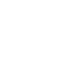 Leopard - Fortnite Decal - Fortnite.GG