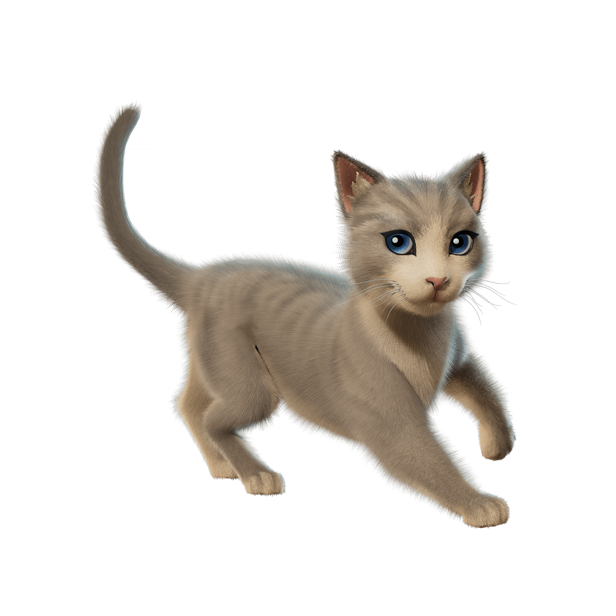 The Best Cat - Fortnite Sidekick - Fortnite.GG