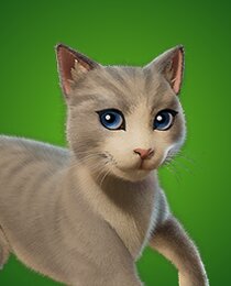 The Best Cat - Fortnite Sidekick - Fortnite.GG