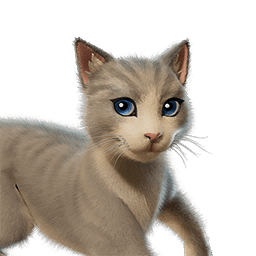 The Best Cat - Fortnite Sidekick - Fortnite.GG