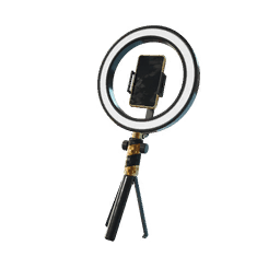 Fortnite Item Shop Ring Light To Go