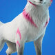 Kitsune - Fortnite Sidekick - Fortnite.GG