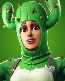 DiscoDuck08's Locker - Fortnite.GG